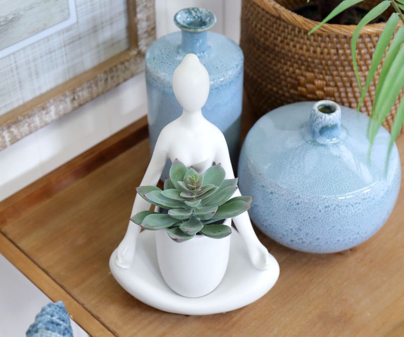 Mini Star Succulent Stem