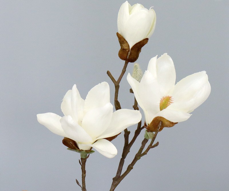 Harper Magnolia Spray in Vase - Small