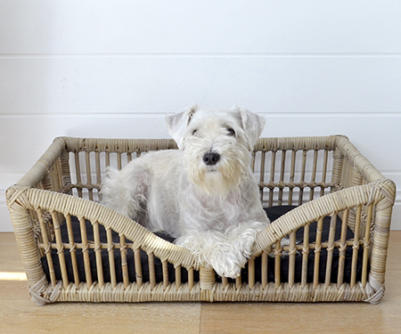 Pet beds - Rattan/cane dog and cat beds