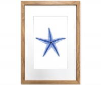 A3 Starfish Blue & White Watercolour Framed Print