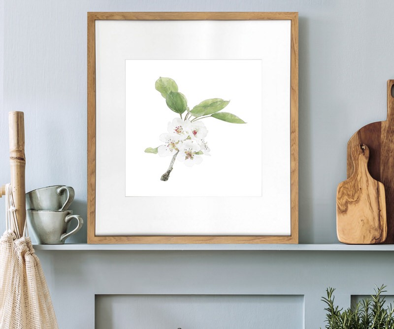 Apple Blossom I Botanical Flower Print - Framed - Wall Art - Beautiful ...