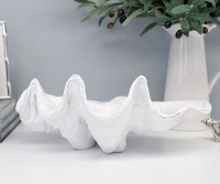 Pearl Bay White Clam Shell Decor - 40cm