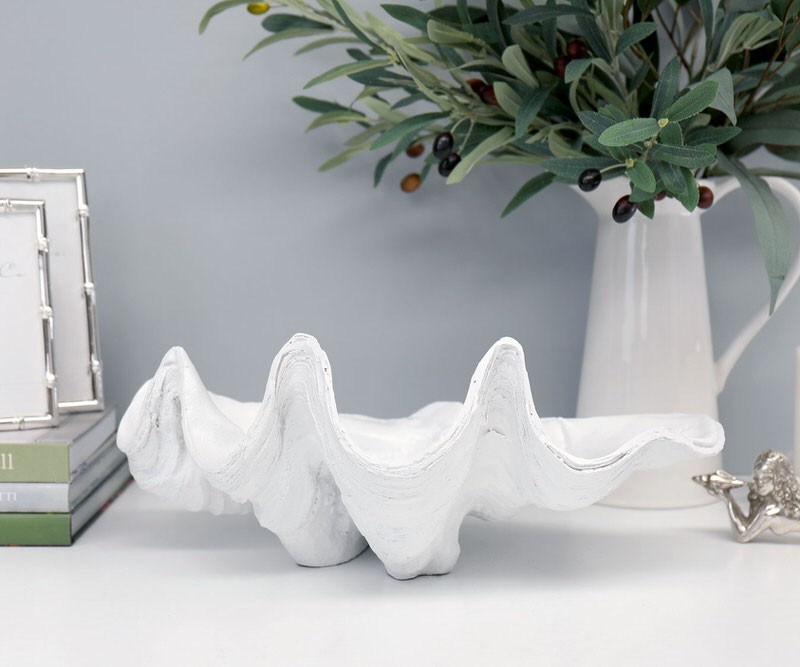 Pearl Bay White Clam Shell Decor - 40cm