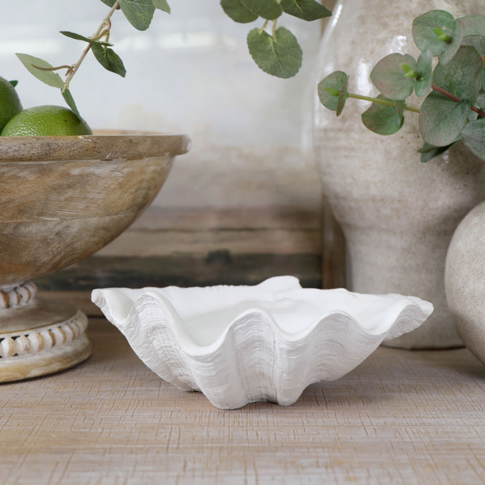Coral Sea Clam Shell Dish