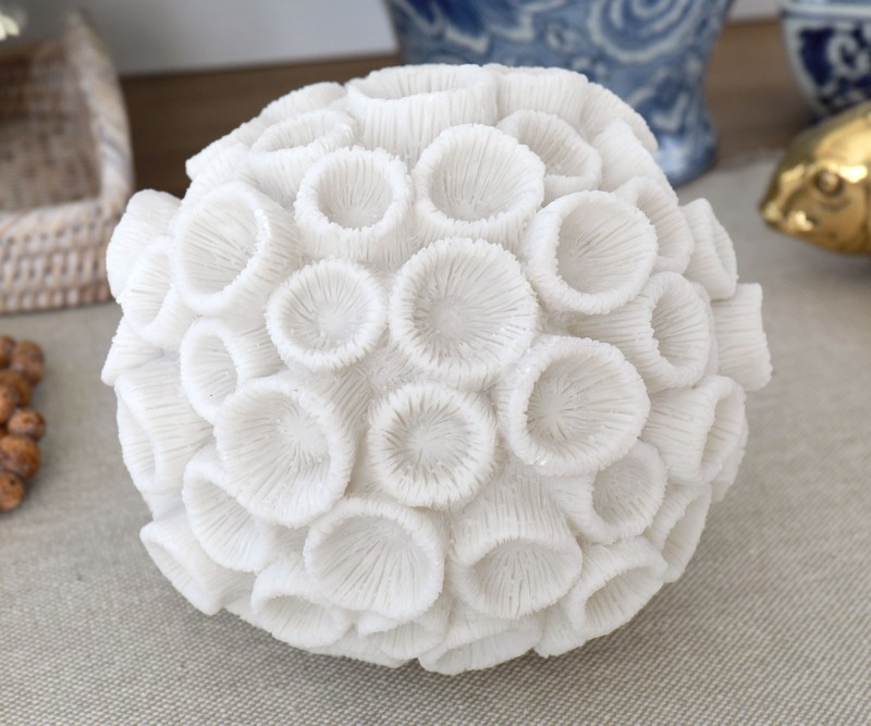 New Harbour Ribbon Coral