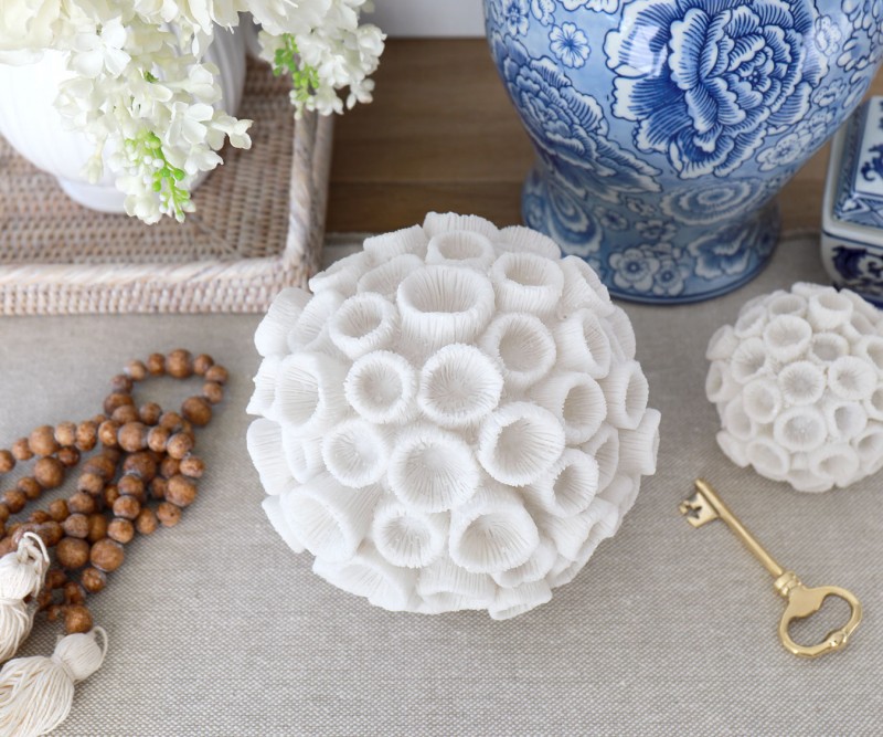 New Harbour Ribbon Coral