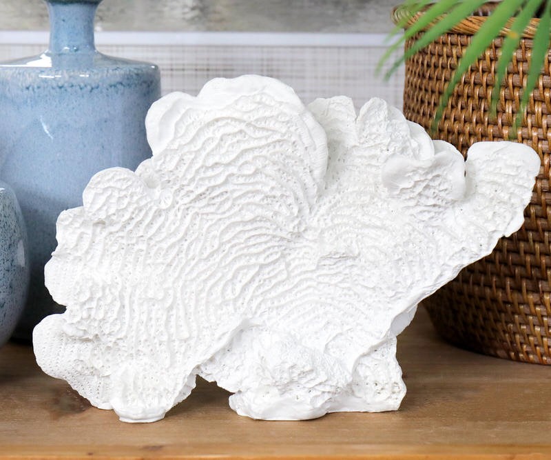 Palmetto White Fan Coral