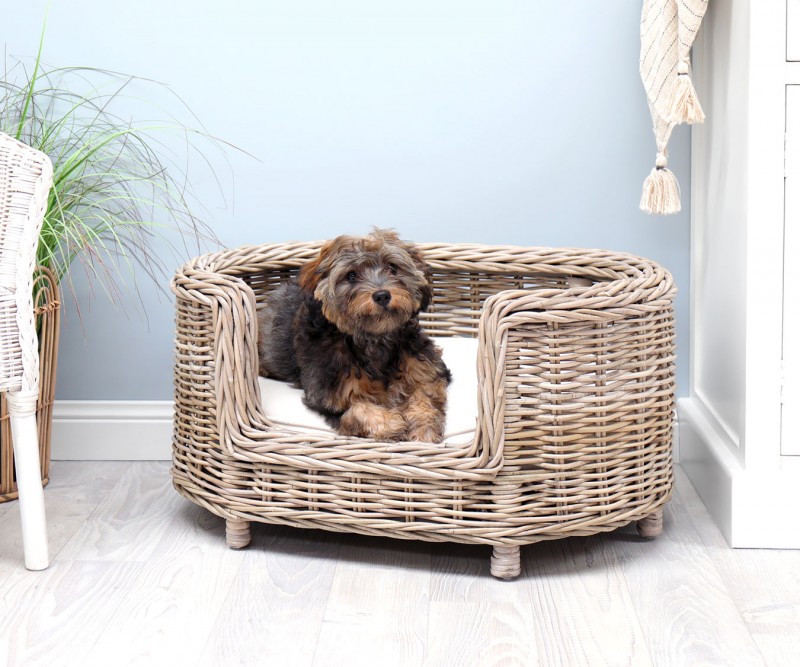 Oval Rattan Dog Bed Small with Cushion - Home Decor Online - New Arrivals