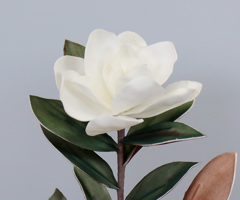 St Clare White Magnolia Stem with Leaves - Shop by colour