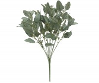 Mowbray Eucalyptus Bush Stem