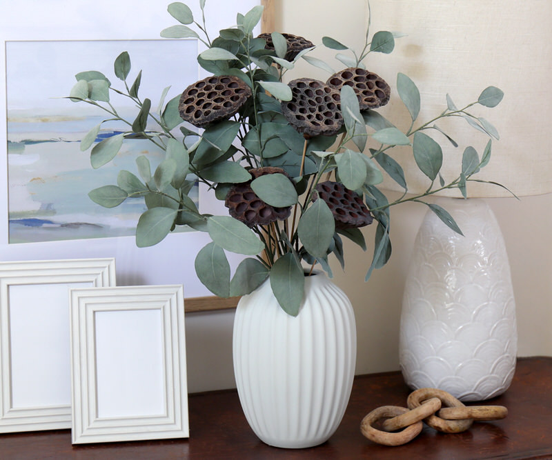 Set 8 Dried Lotus Seed Pods