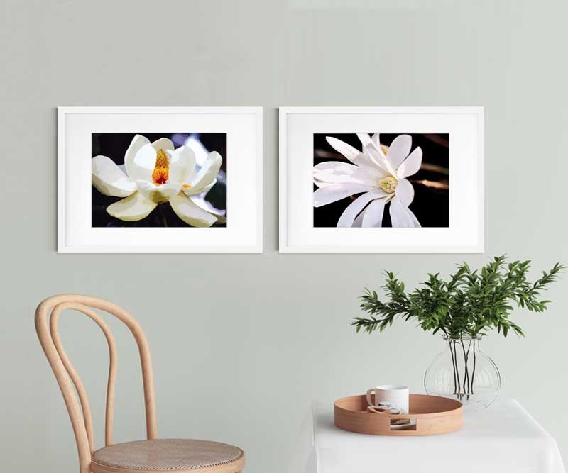 Bright French Provincial Doors & Windows - Wall Art Online - A range of ...