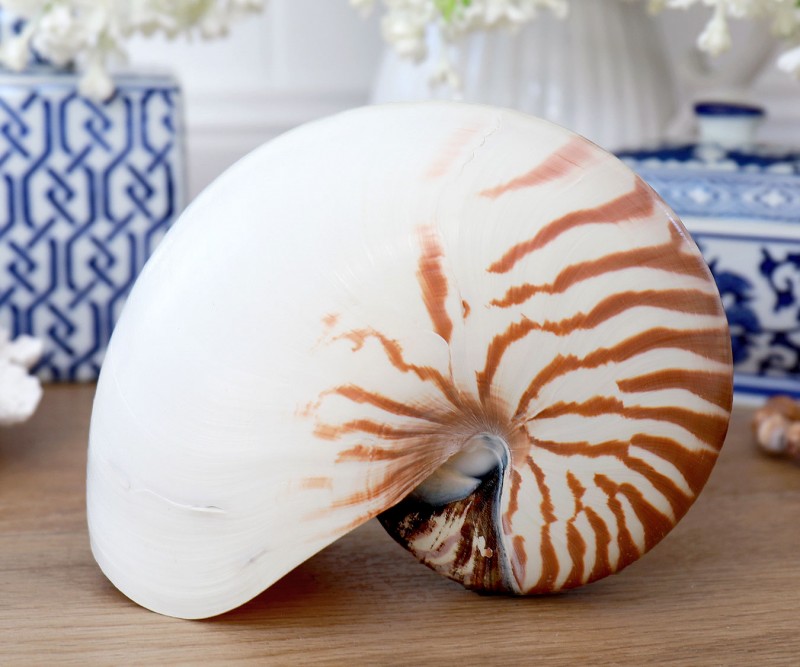 Hamptons Style home decor