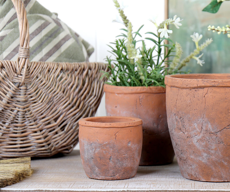 Avignon Terracotta Pot - Extra Small