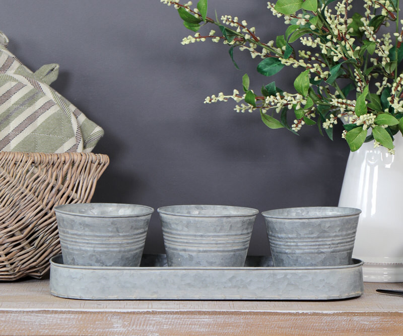 Figtree Set 3 Tin Pots on Tray