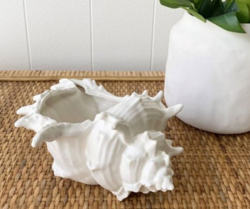Anatolia Conch Shell Vase - Small
