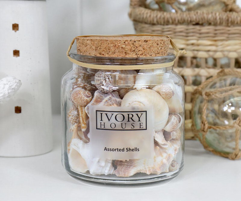 Brighton Jar Assorted Seashells - Home accessories and homewares - Home ...