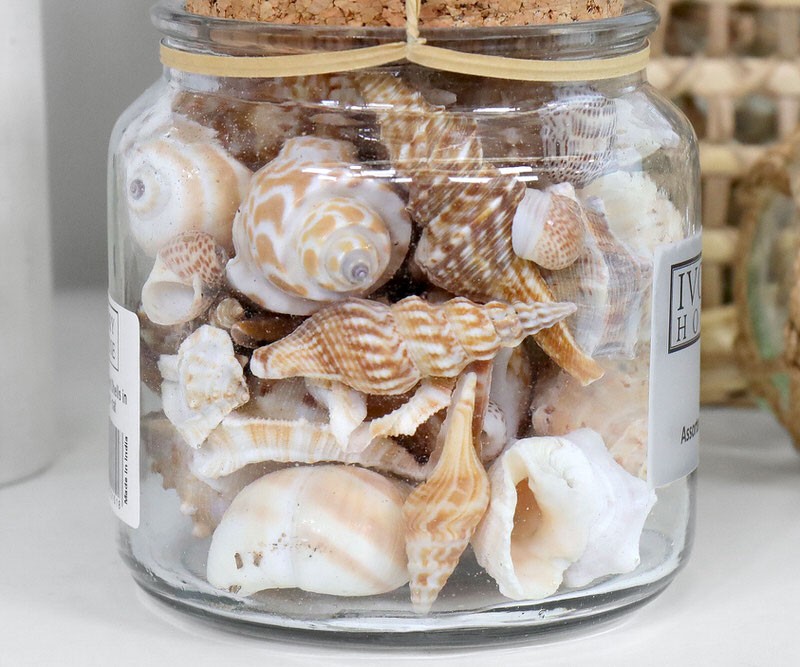 Brighton Jar Assorted Seashells - Home accessories and homewares - Home ...