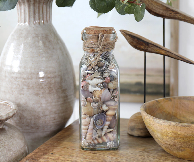 Brighton Jar of Seashells - Colour Mix