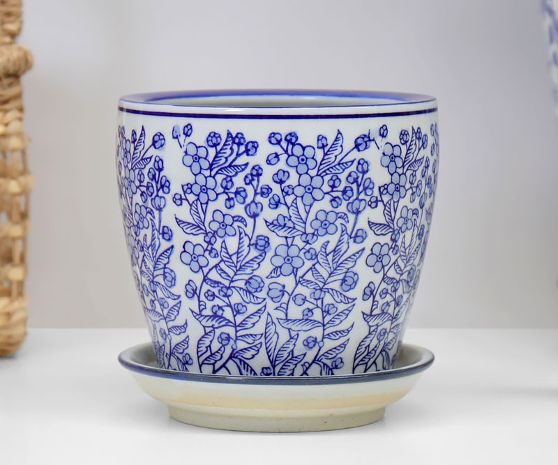 Blue Parrot Oval Planter Pot - Small